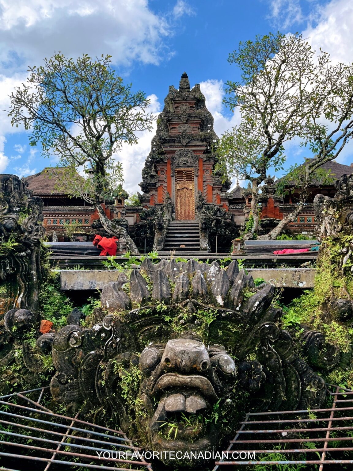 Best of Ubud, Bali: 7 Incredible Activities for Travelers