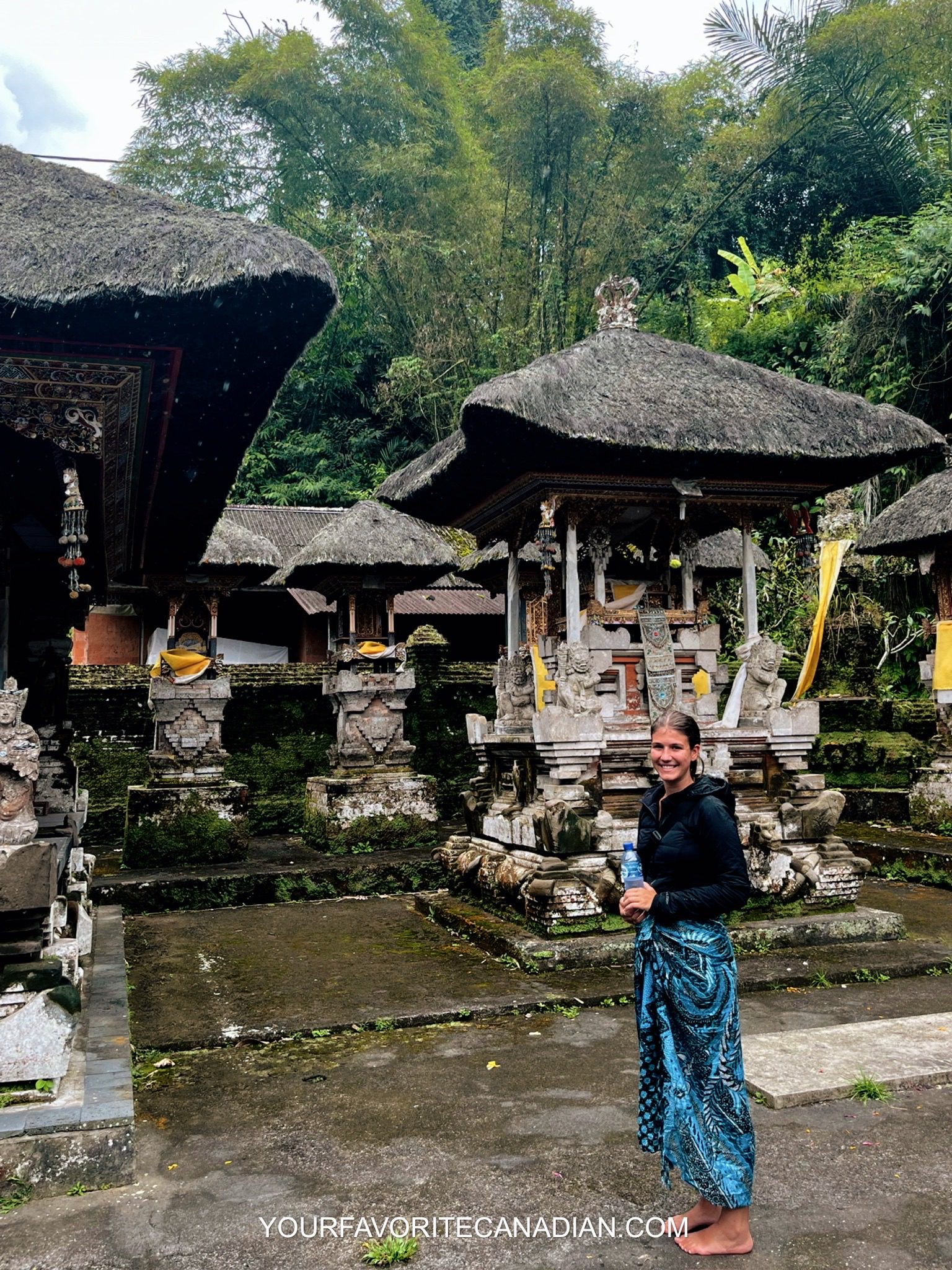 7 Best Things to Do in Ubud, Bali ‣ Your Favorite Canadian