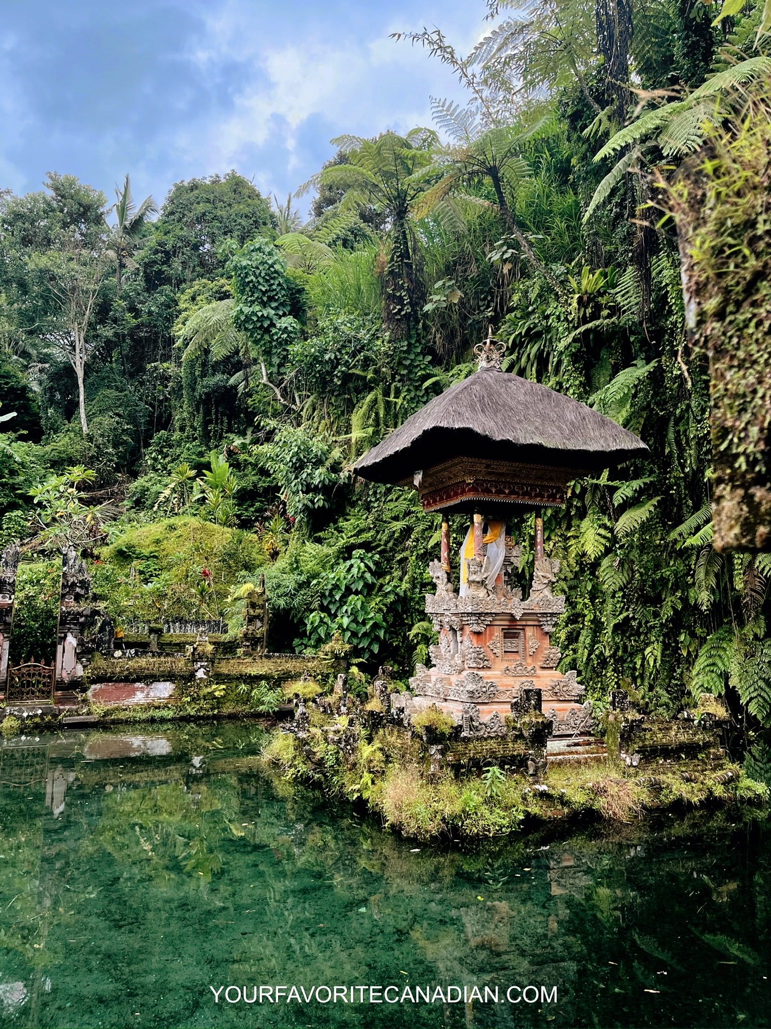 7 Best Things to Do in Ubud, Bali ‣ Your Favorite Canadian