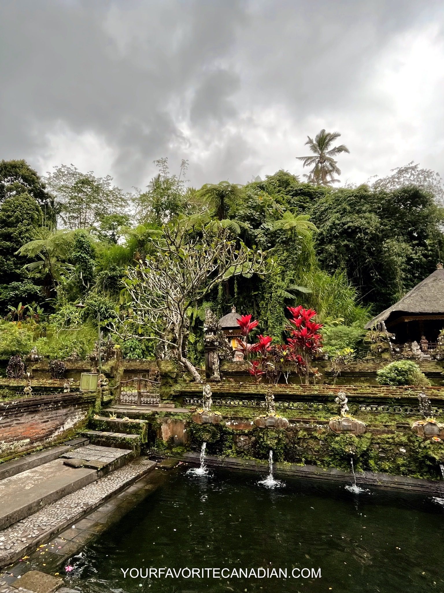 7 Best Things to Do in Ubud, Bali ‣ Your Favorite Canadian