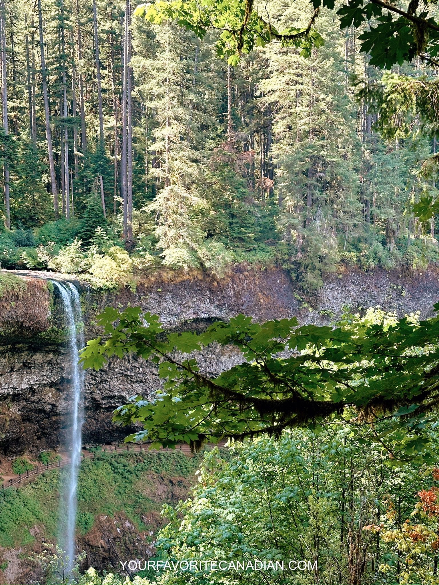 Oregon Road Trip: 4 Must-See Stops ‣ Your Favorite Canadian