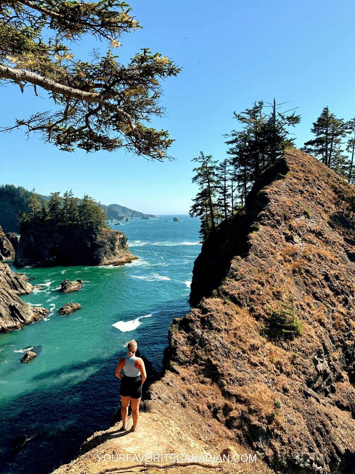 Oregon Road Trip: 4 Must-See Stops ‣ Your Favorite Canadian