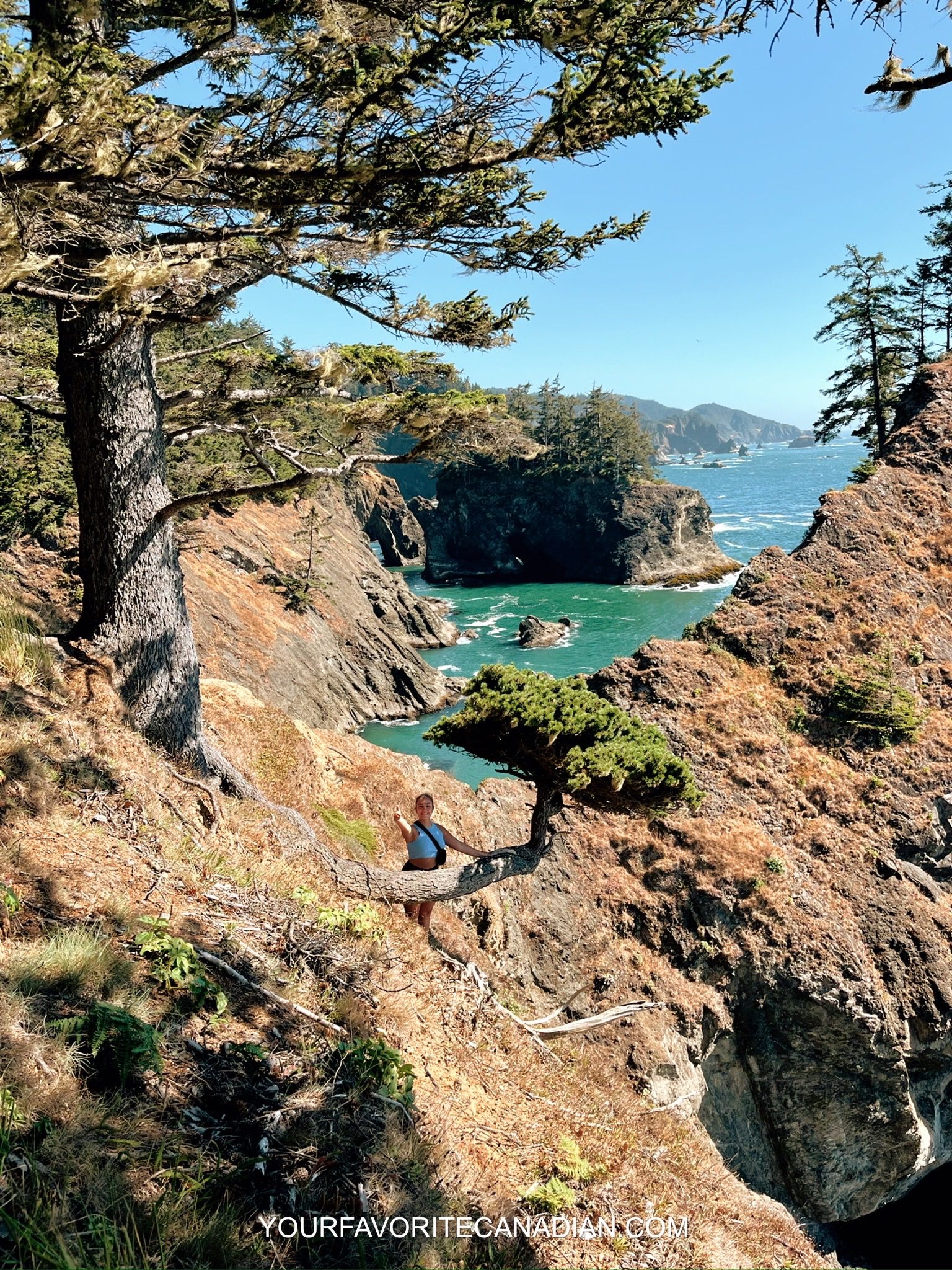 Oregon Road Trip: 4 Must-See Stops ‣ Your Favorite Canadian