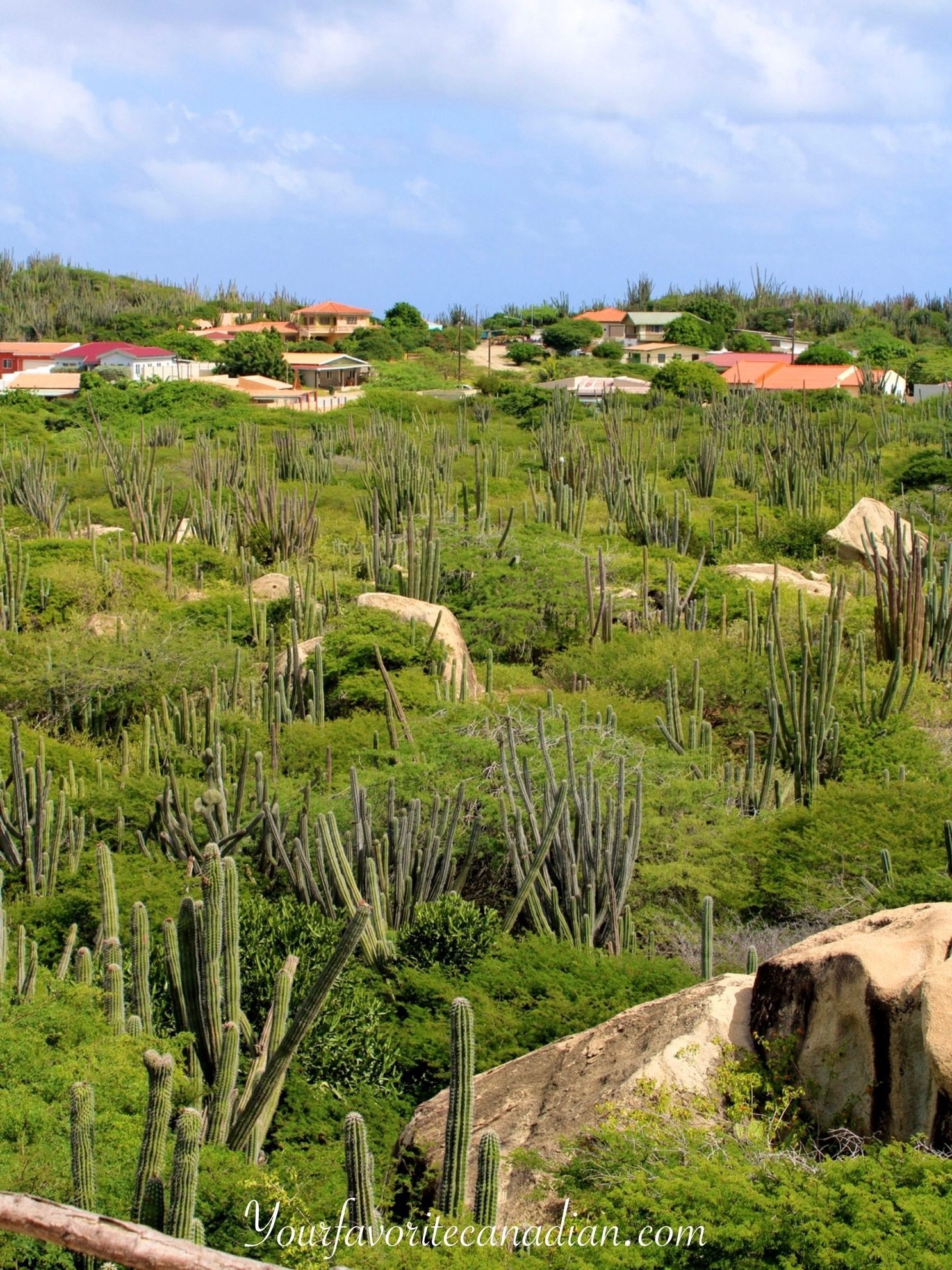 Where To Go In Aruba ‣ Your Favorite Canadian