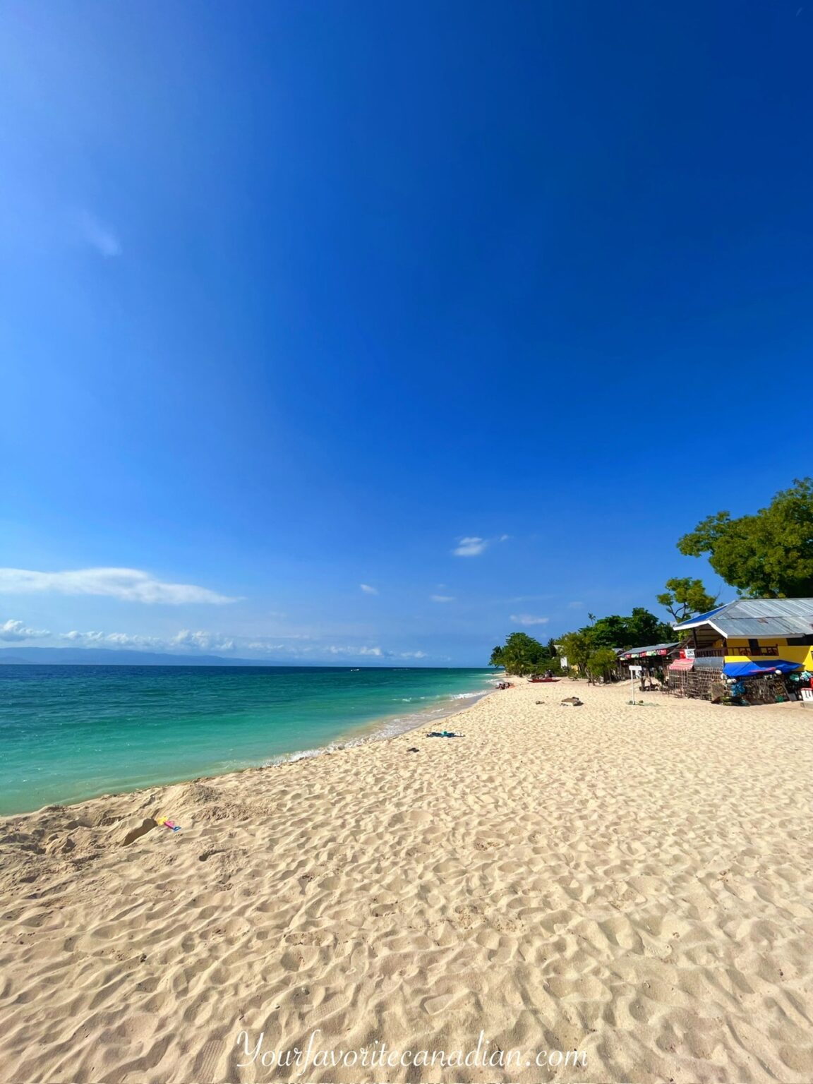 3 Best Things To Do In Moalboal ‣ Your Favorite Canadian