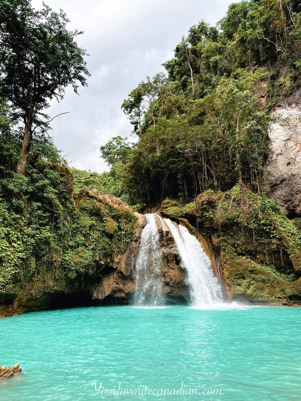 3 Best Things To Do In Moalboal ‣ Your Favorite Canadian