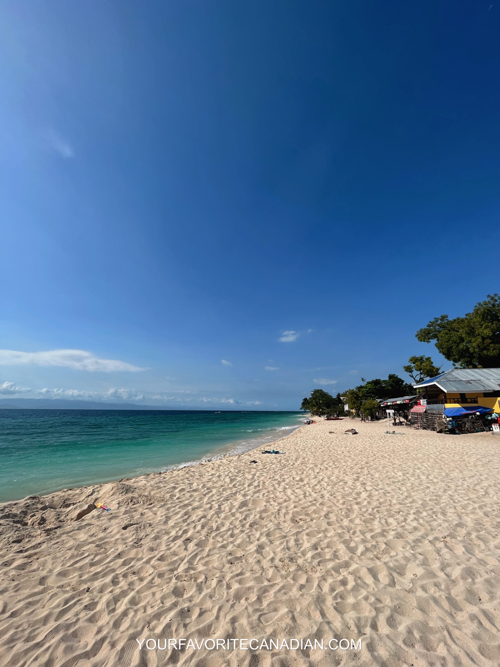 3 Fantastic Things to Do in Moalboal, Cebu Island