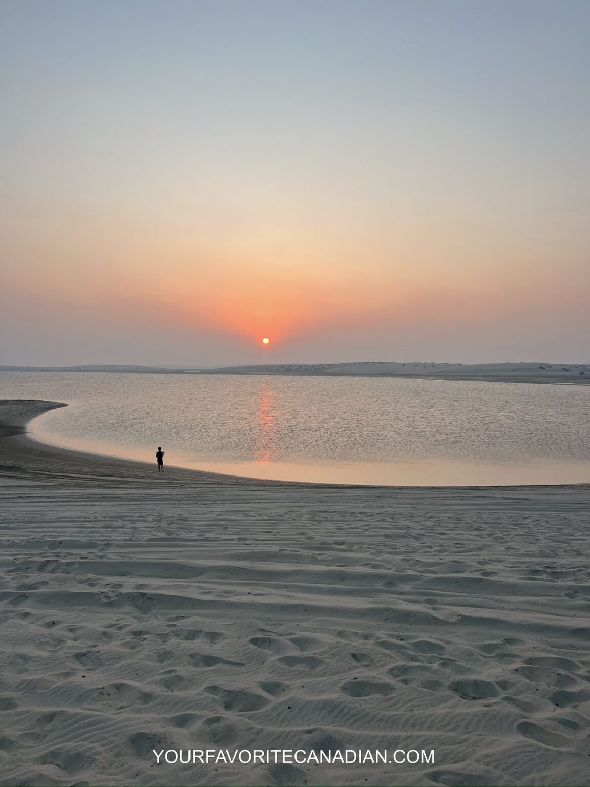 Doha Desert Tour Guide | Complete Guide for Travelers