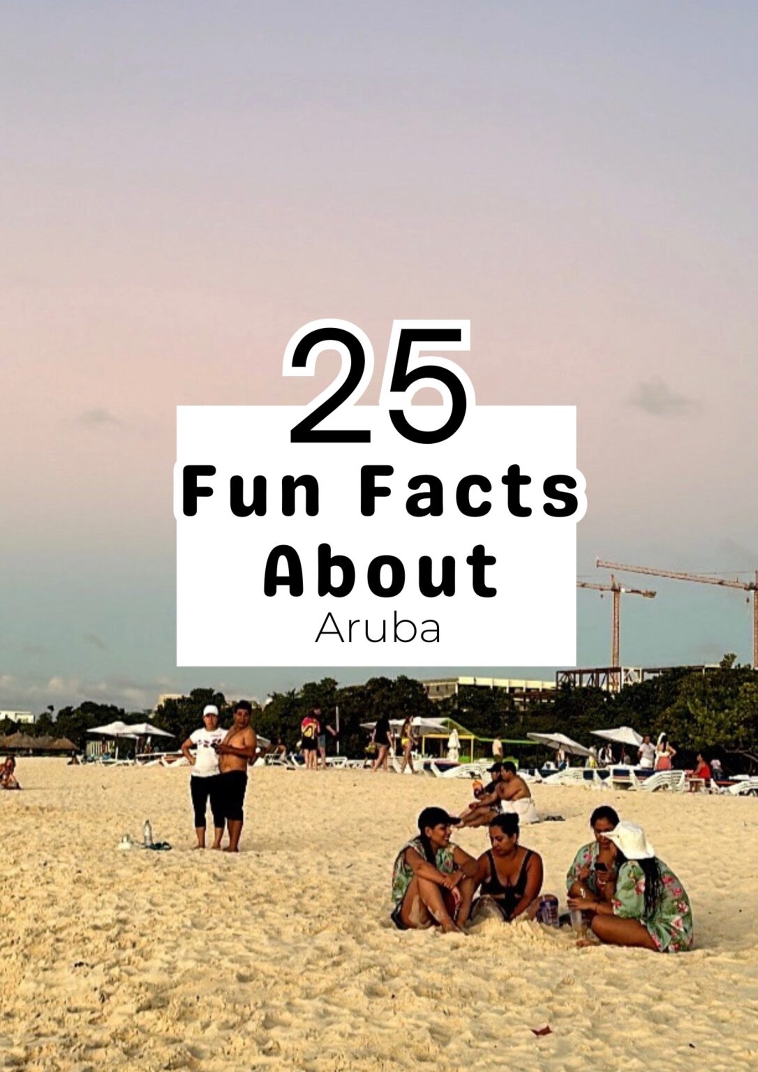 Aruba Highlights 25 Fun and Surprising Facts to Know