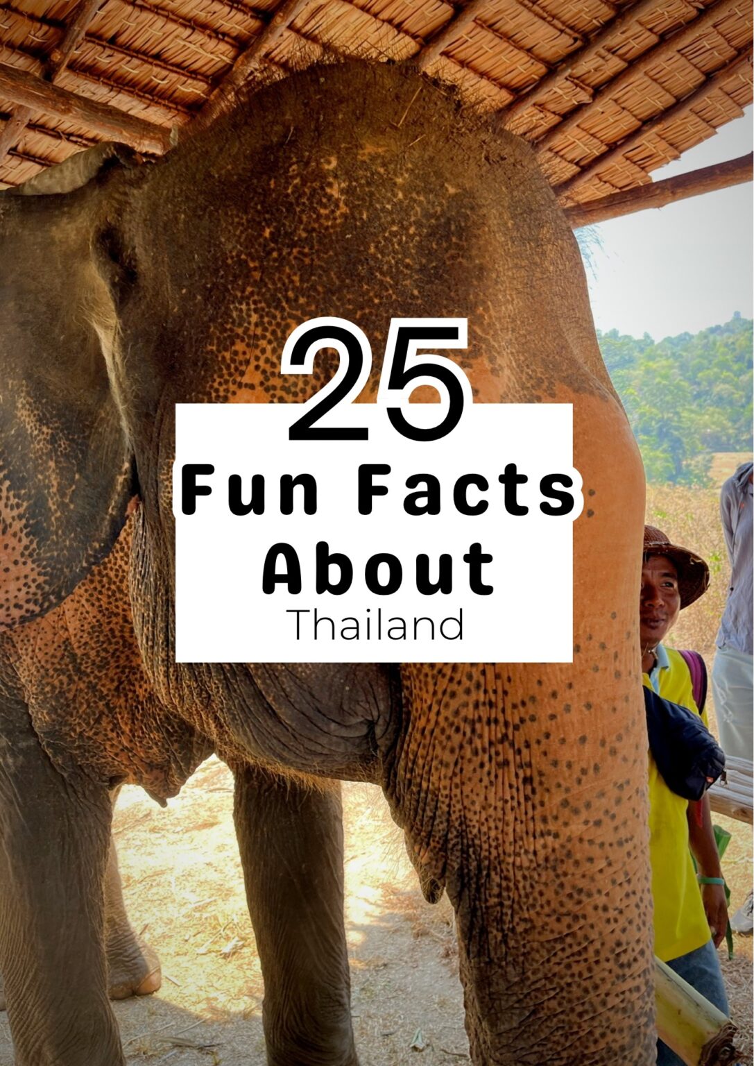 Thailand Trivia: 25 Fun Facts Every Traveler Should Know